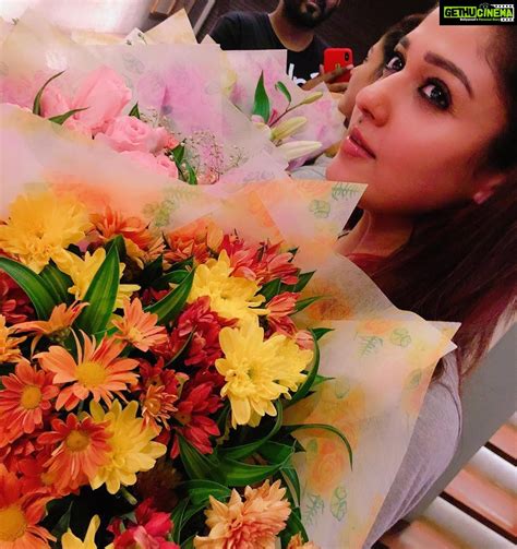 Director Vignesh Shivan Hd Instagram Photos And Wallpapers March 2019 Gethu Cinema