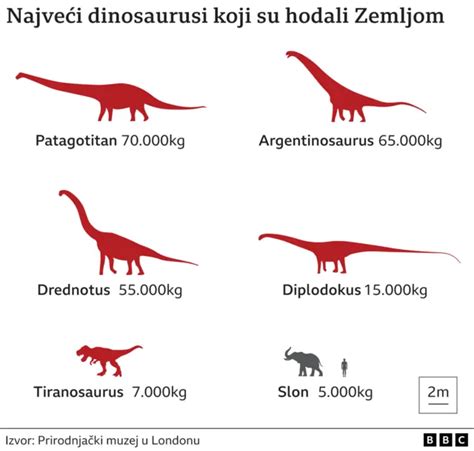 Životinje Nauka I Istorija Kako Su Zvučali Dinosaurusi Bbc News Na