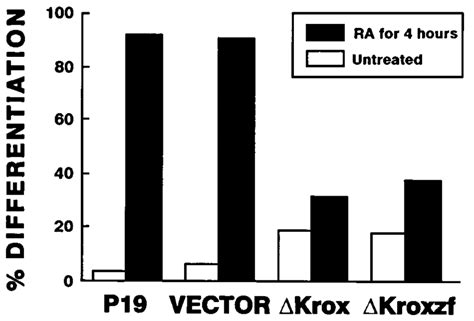 Di Erentiation Of Pgk Populations In Colony Assay Cells Were Seeded At