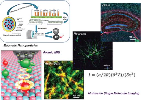 International Biophysics Workshops Sbasse