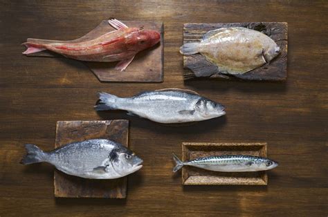 Pescados Con Mas Mercurio Que No Debes Comprar Estudios