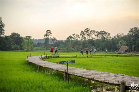 สะพานทุ่งนามุ้ย ที่เที่ยวใหม่นครนายก Me Story