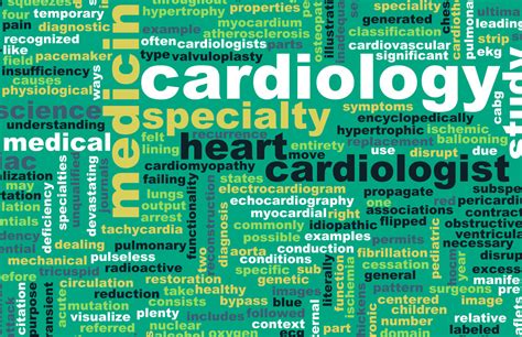 Medical Terminology Diagram Quizlet