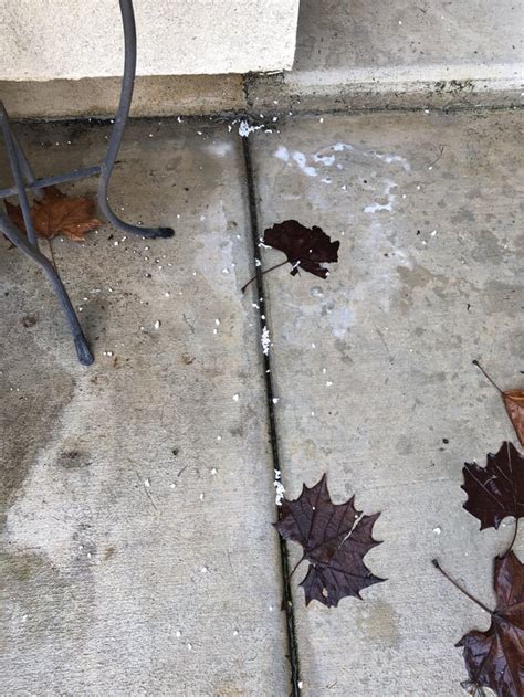 Styrofoam Particle Problem R Diy