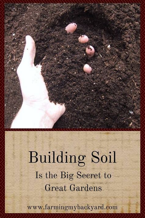 How To Fill A Raised Garden Bed Build The Perfect Organic Soil Artofit