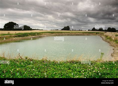 Farm In Essex UK Stock Photo Alamy
