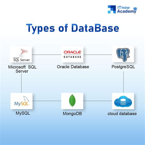 Diving Into The Diverse World Of Databases Itnow Academy