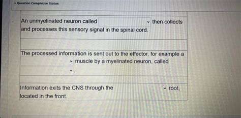 Solved Consider A SOMATIC REFLEX ARC To Answer The Questions Chegg