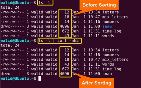 The “sort” Command In Linux 16 Practical Examples