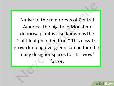 How To Add Backgrounds In Word Images Colors More