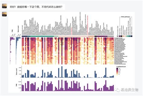 R语言教程 如何绘制漂亮的组合热图？ 知乎