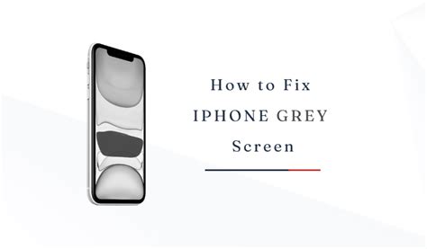 iphone screen is grey how to fix it [2024]