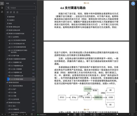 支付平台架构：业务、规划、设计与实现 Pdf电子书 9mb 下载 码农书籍网