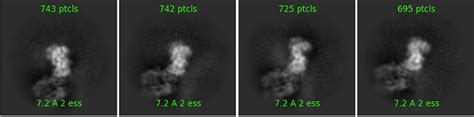 particle off center troubleshooting cryosparc discuss