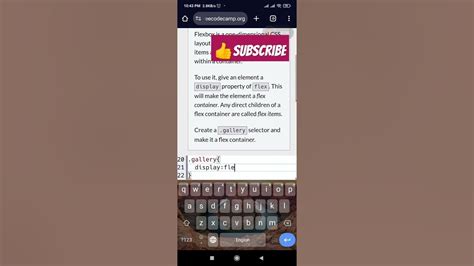 Master Css Flexbox Build A Photo Gallery Freecodecamp Solution Step 14 Freecodecamp Shorts