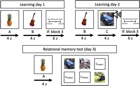 Overview Of Task Structure On Both Learning Days And The Associative Download Scientific