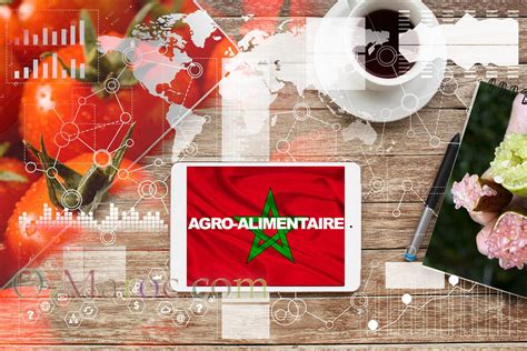 Investissement Agroalimentaire Au Maroc Un Secteur Rentable