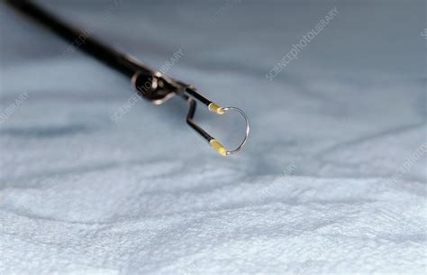 Cytoscopic Electrocautery Stock Image C0023800 Science Photo Library