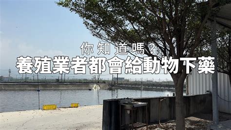漁戴夫Yu Tai Fu你究竟有沒有在吃毒藥ft 蔡嘉洺獸醫師 YouTube