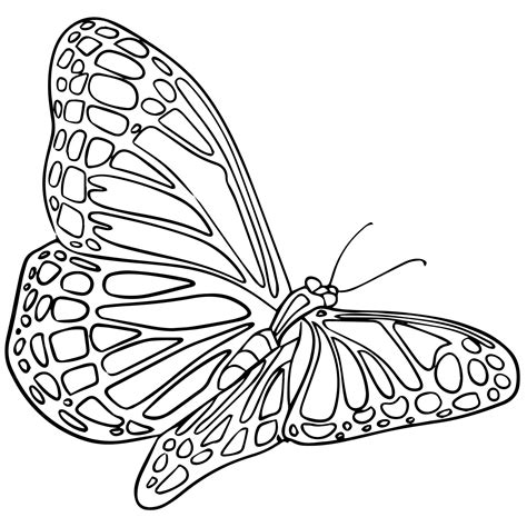 Free Monarch Butterfly Coloring Pages For Creative Learning