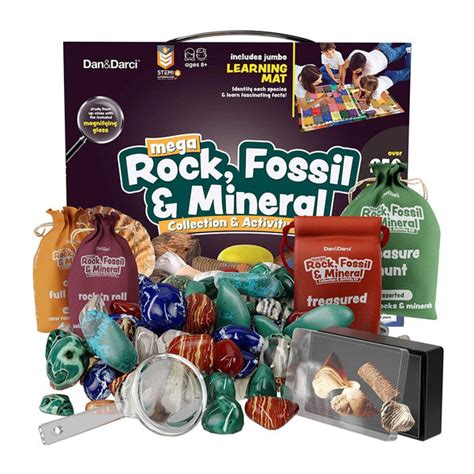 Large Gem Fossil And Mineral Kit Midwest Diggers