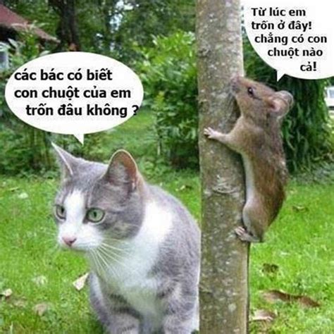 Ảnh Hài Nhất Thế Giới Cuộc Sống Hóm Hỉ Trên Mạng