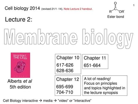 PPT Membrane Biology PowerPoint Presentation Free Download ID