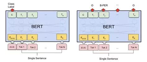 A Quick Dive Into Deep Learning From Neural Cells To Bert Alibaba