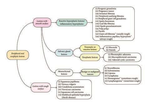 Decision Tree For Peripheral Oral Exophytic Lesions Download
