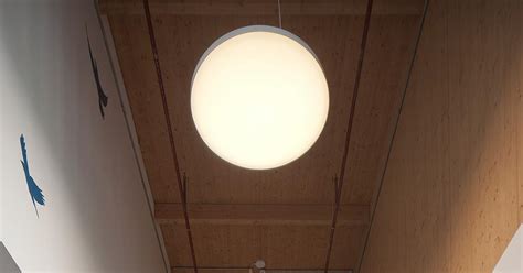 In Pictures Scott Brownrigg Presents Milltimber Primary School News