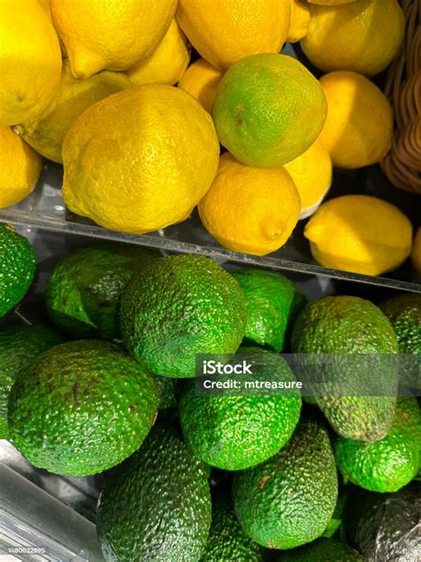 슈퍼마켓 선반에 있는 과일의 전체 프레임 이미지 감귤류 더미 레몬과 아보카도 유리 칸막이 높은 전망 0명에 대한 스톡 사진 및 기타 이미지 Istock