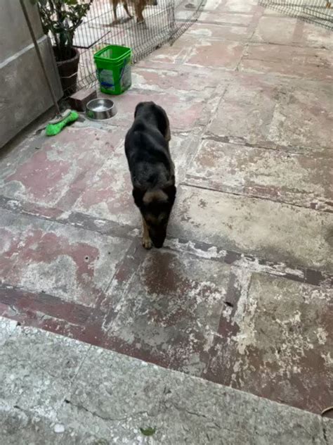 Alina On Twitter Va A Retirar En Un Mes Y Justo Hoy Le Toca La