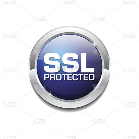 SSL保护蓝色矢量图标按钮