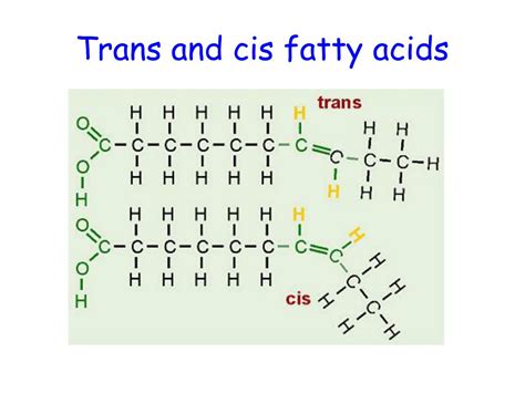 Cis Fatty Acids Vs Trans At Darcy Poninski Blog