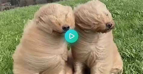 Its Wimdy Outside Album On Imgur
