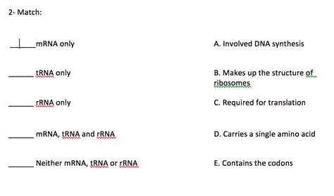 Solved Match Mrna Only Trna Only Rrna Only Mrna Trna And Chegg