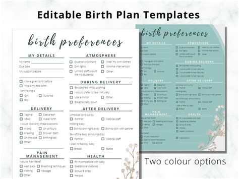 Birth Preferences Template Birth Plan Editable Labour Birth Chart