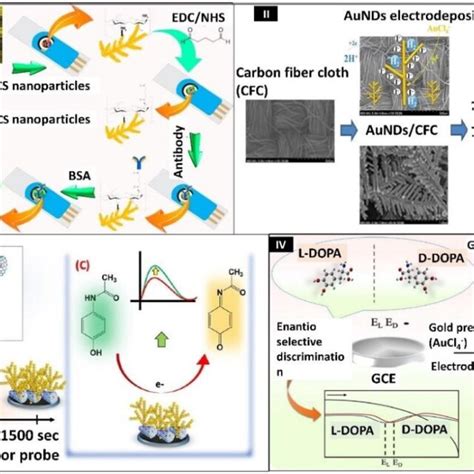 I Schematic Illustration Showing The Immunosensing Of Botulinum Download Scientific Diagram