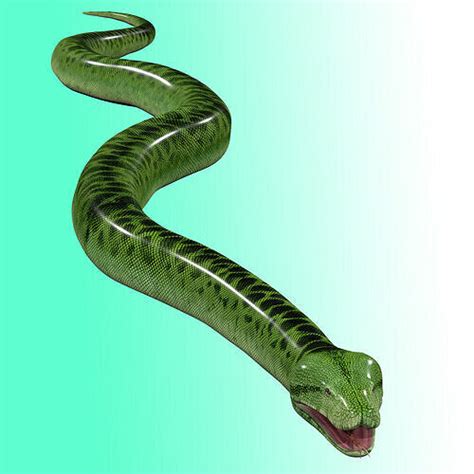 Green Python Snake 3d Model Rigged Cgtrader Green Python Snake 3d Model Rigged Cgtrader