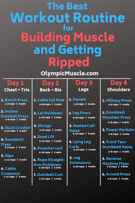 Best Workout Routine For Building Muscle And Getting Ripped