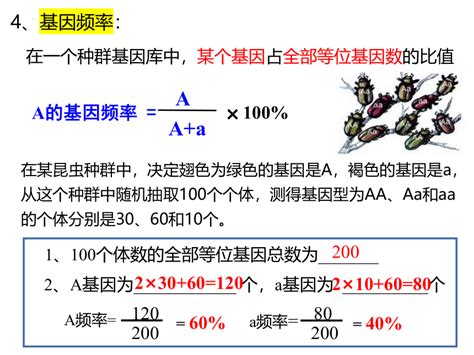 63 种群基因组成的变化和物种的形成（第1课时）课件共43张ppt 2023 2024学年高一生物（人教版2019必修2）21世纪