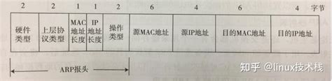 Linux内核协议栈 邻居协议之arp协议处理初始化 知乎