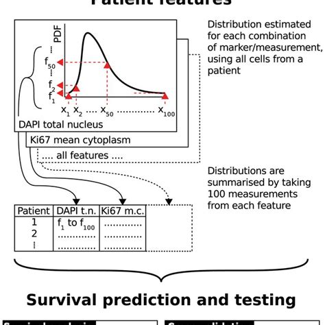 Random Survival Forest Analysis Of Biomarker Image Feature