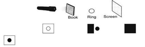 Study The Set Up Below How Will The Shadow Look Like WHOEVER WILL