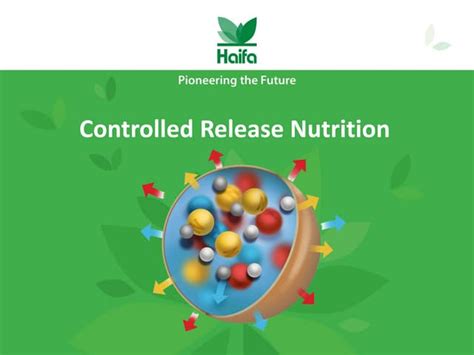 Controlled Release Fertilizers Haifa Group Pdf