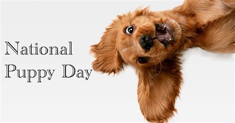 Brian Endres On Linkedin Brian Endres First Federal Bank Sales Manager