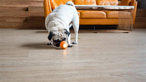 Cheerble Wicked Ball Special Edition Smart Pet Toy Twilight Orange