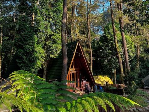 5 Rekomendasi Glamping Estetik Di Puncak Bogor Inilahkoran Id