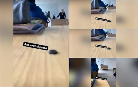 Am avut şi profă Un clip cu o profesoară din Buzău căzând de pe un