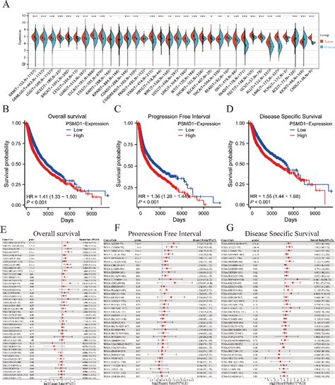Figure 1 From Analysis And Experimental Validation Of The Innate Immune Gene Psmd1 In Liver